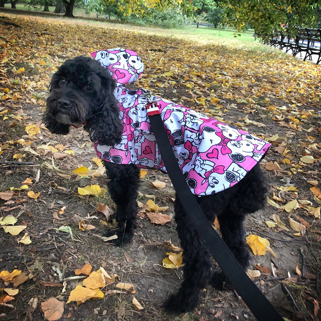 Snoopy Raincoat – MANCHAANDLOLA